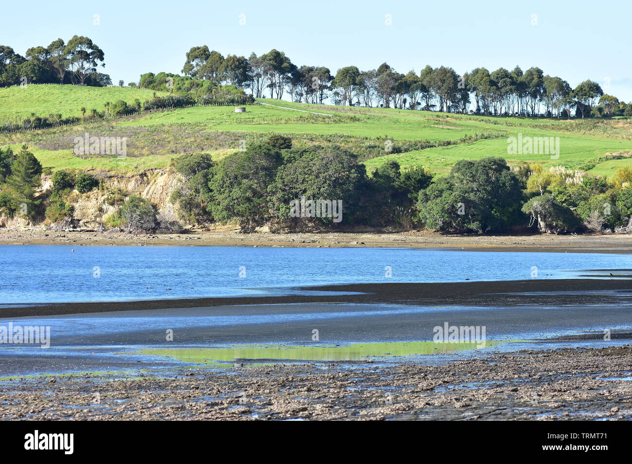 Sea shells in shallow water hi-res stock photography and images - Alamy