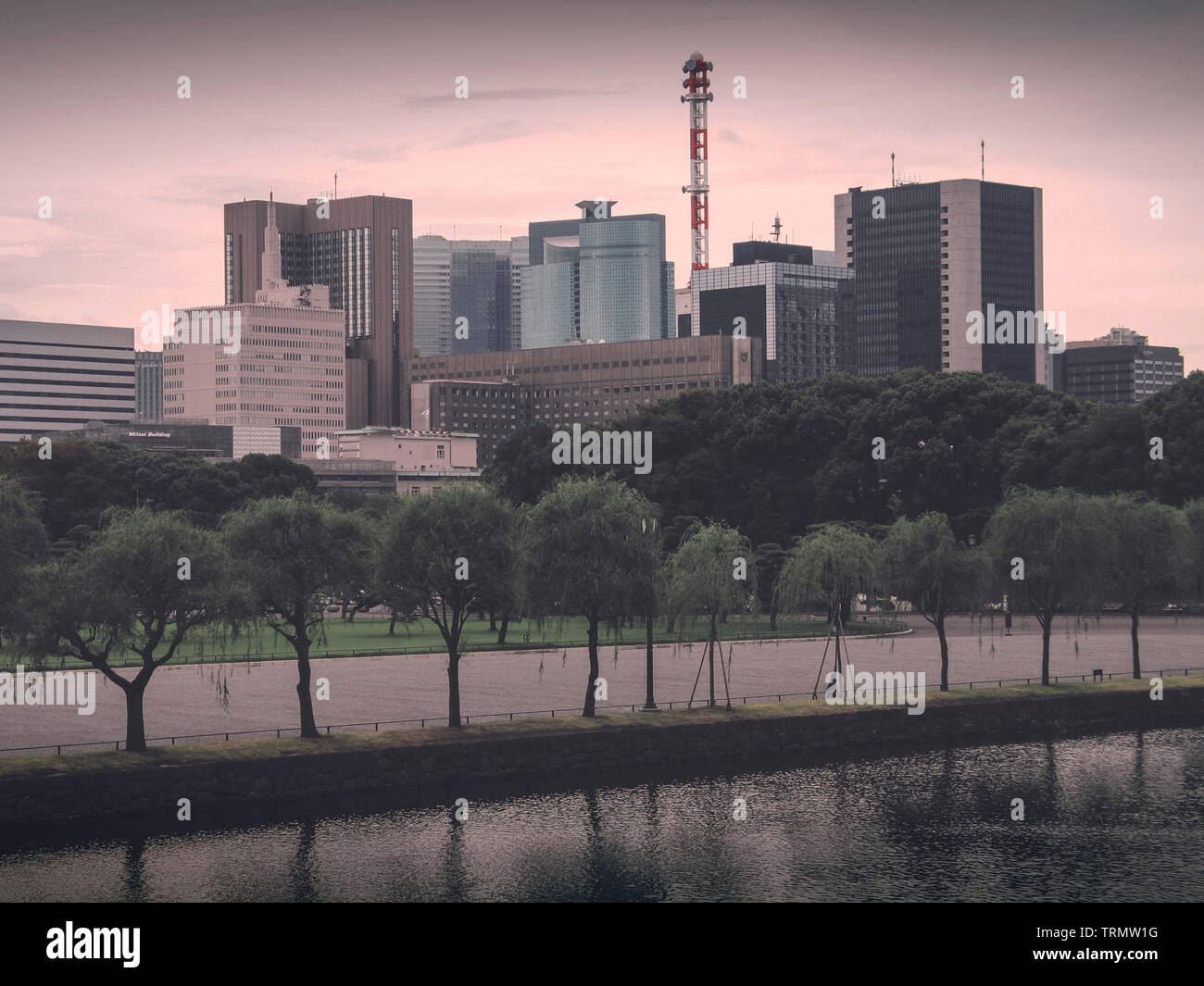 Tokyo cityscape, Japan, Asia Stock Photo - Alamy