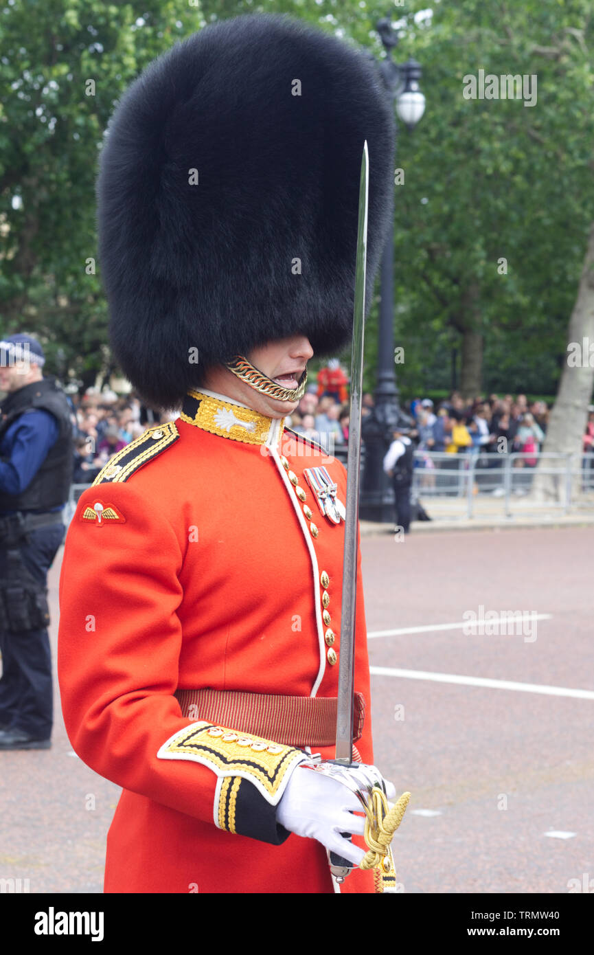 Officer of the welsh guards hi-res stock photography and images - Alamy