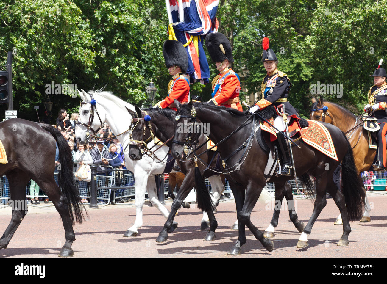 Royal colonel grenadier guards hi-res stock photography and images - Alamy