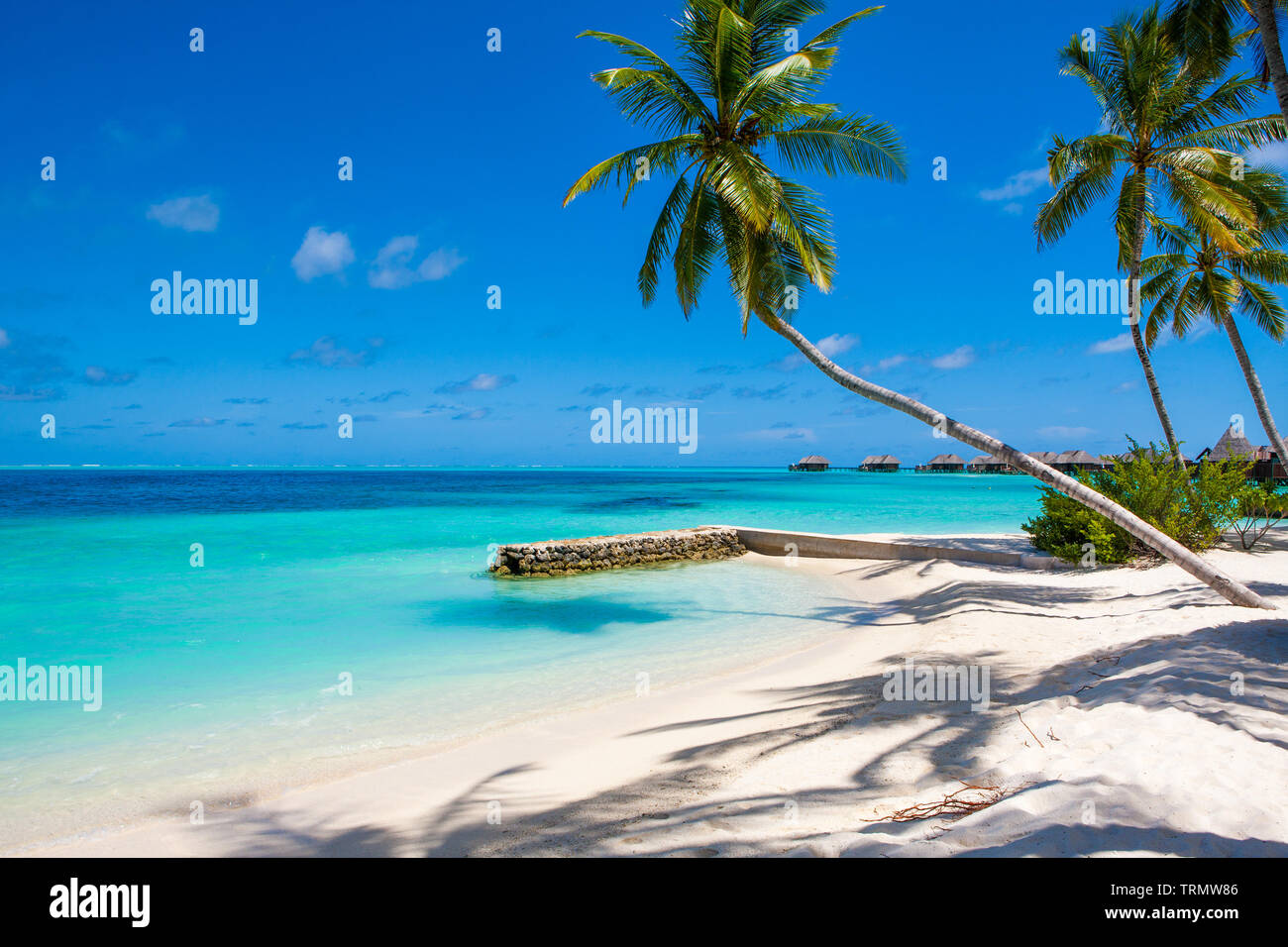 The beautiful landscape of the deserted Indian Ocean sandy beach ...