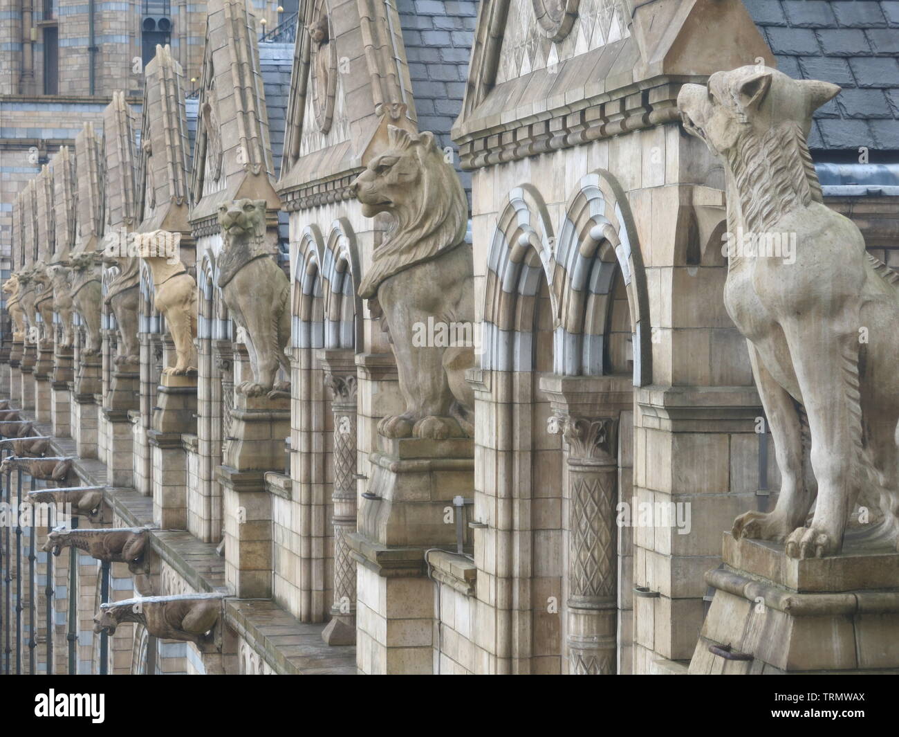 Romanesque artefacts hi-res stock photography and images - Alamy