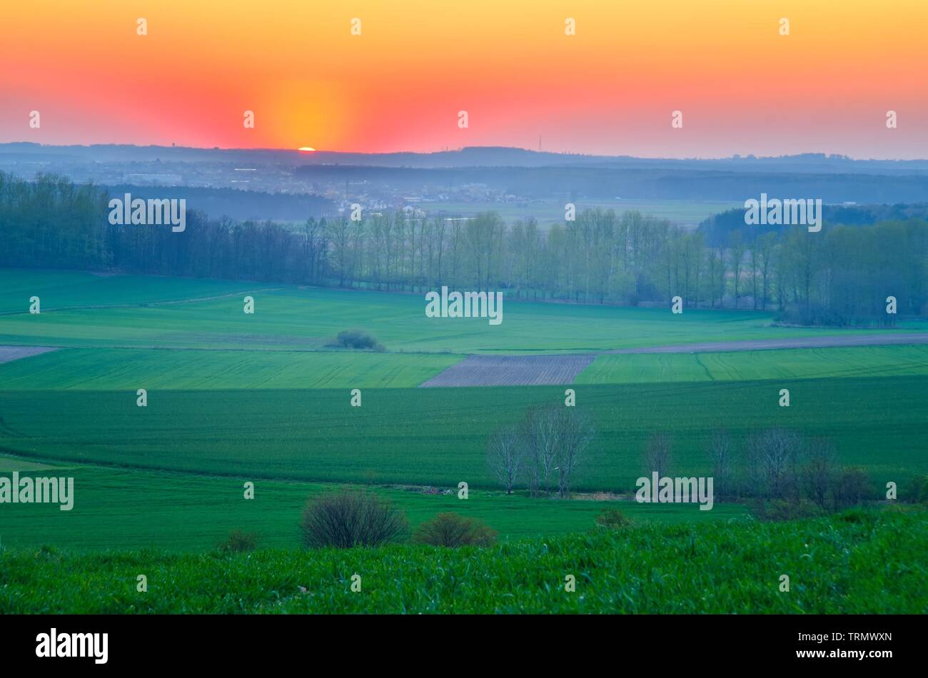 Fabulous spring evening landscape. Beautiful sunset over green meadows ...