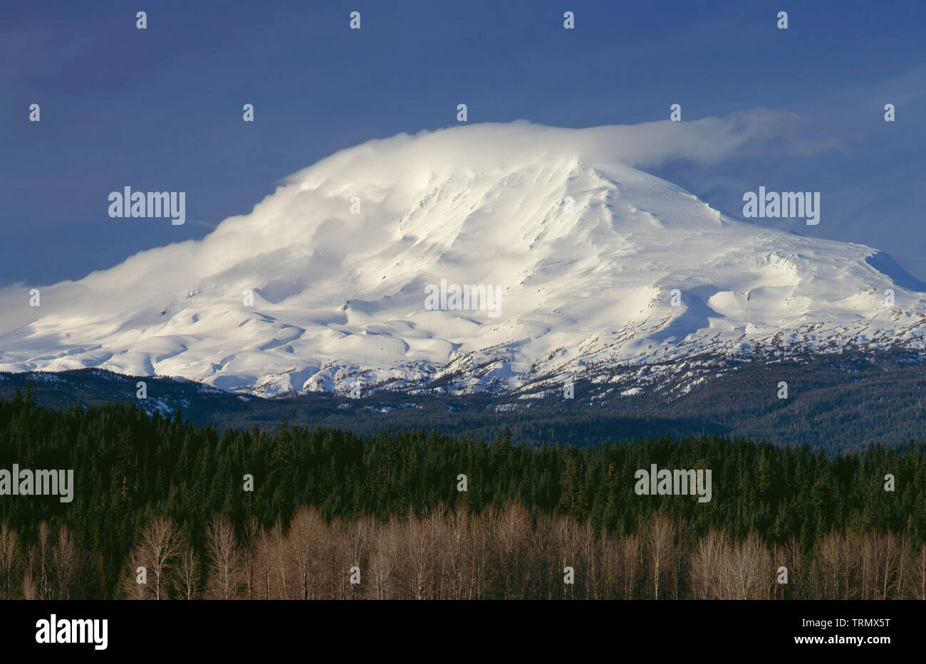 USA, Washington, Snow covered Mt. Adams in the Gifford Pinchot National ...