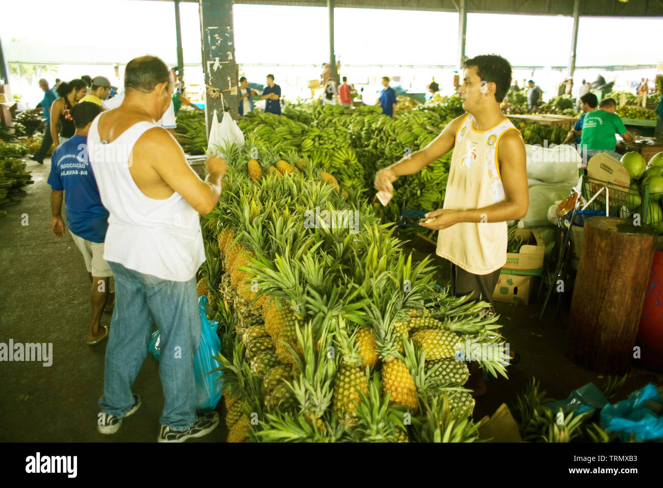 Pineapple, Fair of Banana, Center, Amazônia, Manaus, Amazonas, Brazil ...