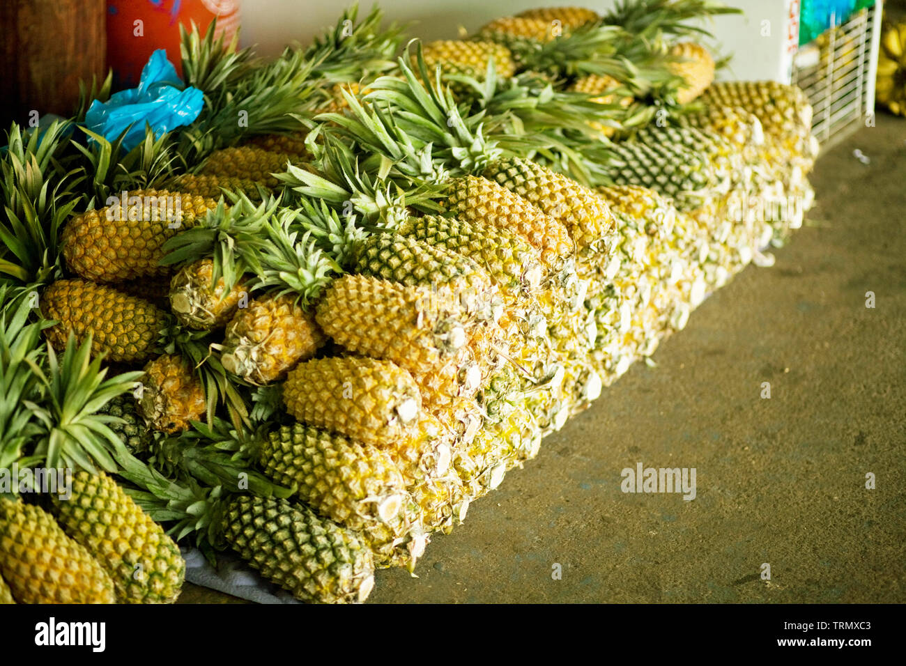 Pineapple, Fair of Banana, Center, Amazônia, Manaus, Amazonas, Brazil ...