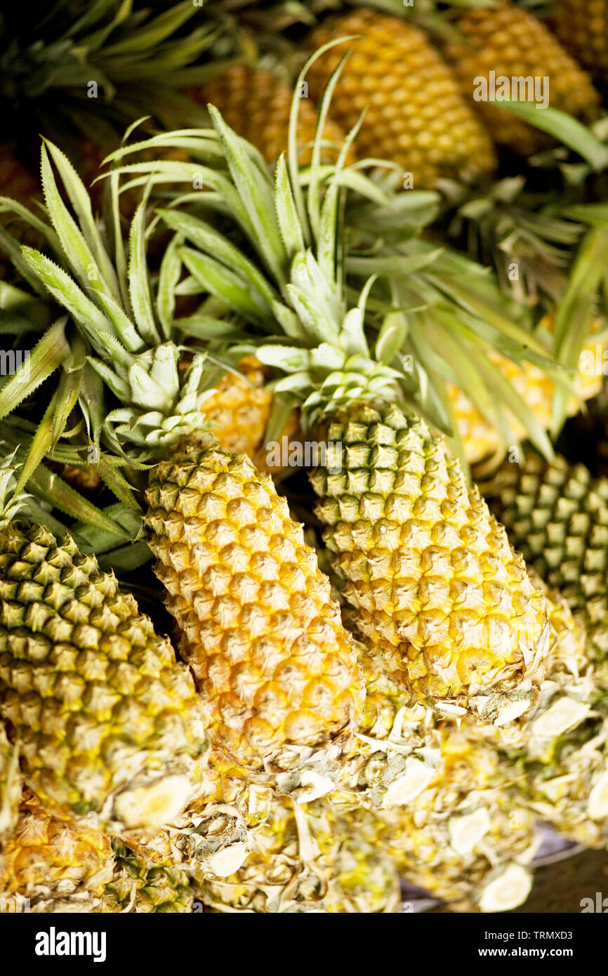 Pineapple, Fair of Banana, Center, Amazônia, Manaus, Amazonas, Brazil ...
