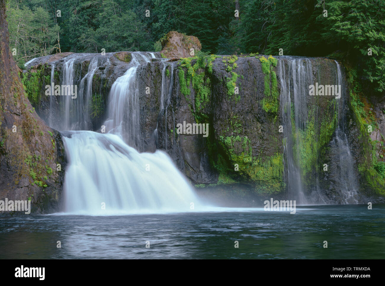 USA, Washington, Gifford Pinchot National Forest, Lewis River descends ...