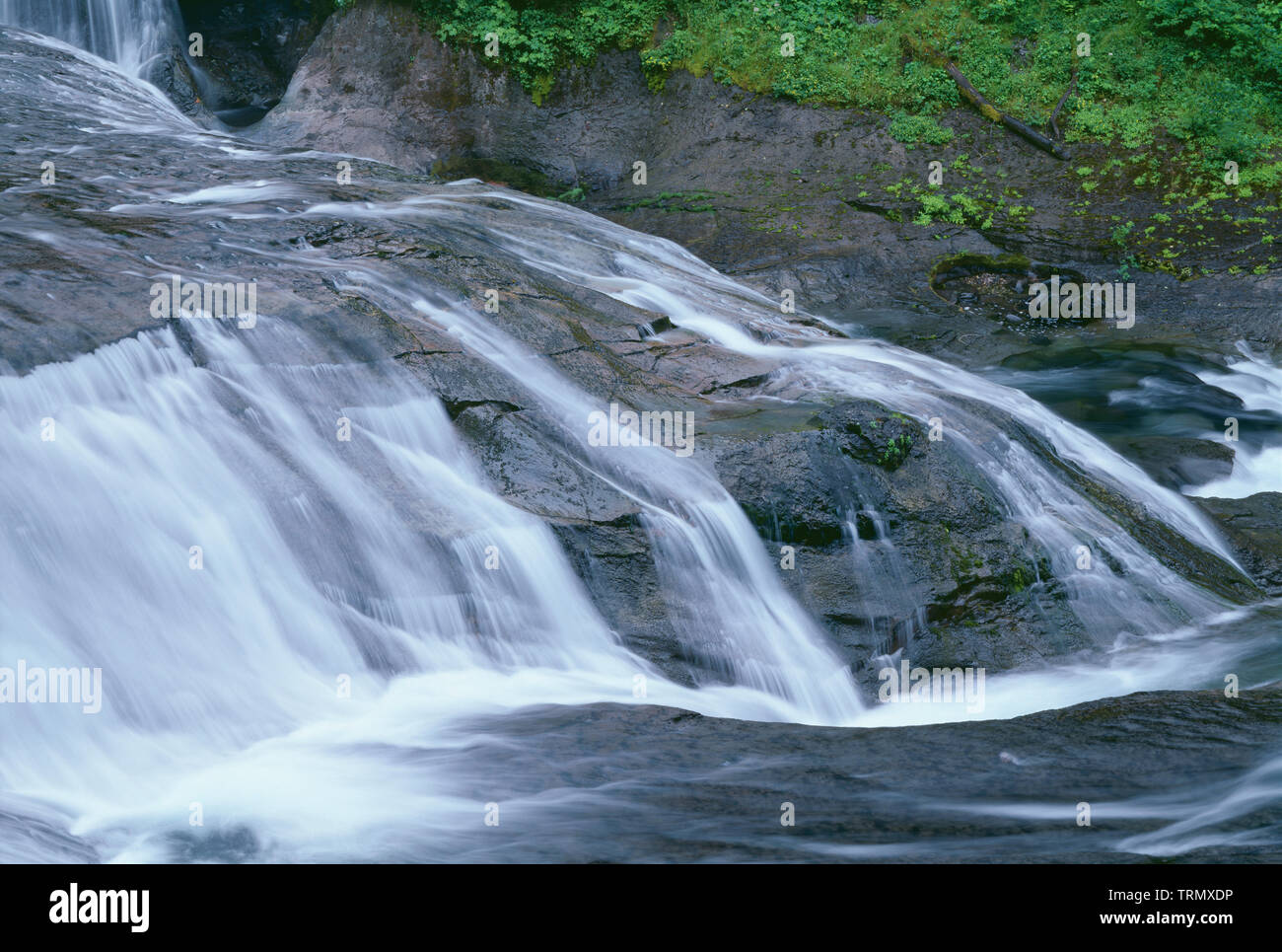 USA, Washington, Gifford Pinchot National Forest, Lewis River descends ...