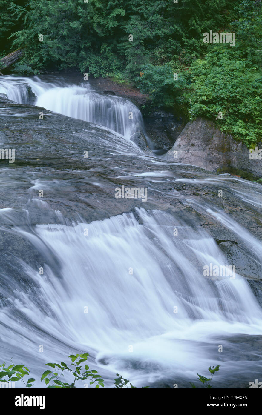 USA, Washington, Gifford Pinchot National Forest, Lewis River descends ...
