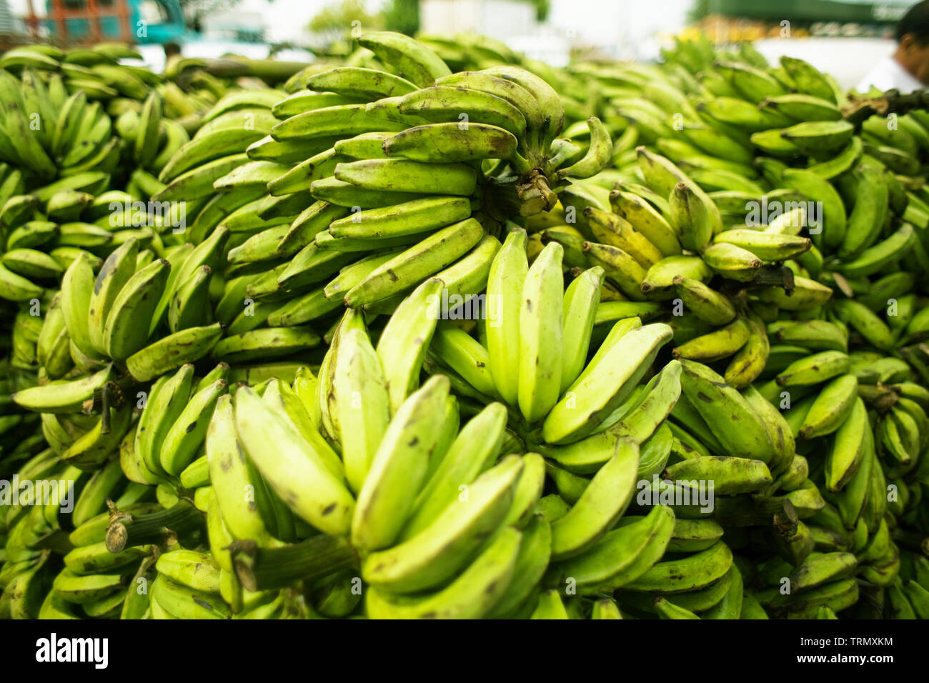 Fair of Banana, Center, Amazônia, Manaus, Amazonas, Brazil Stock Photo ...