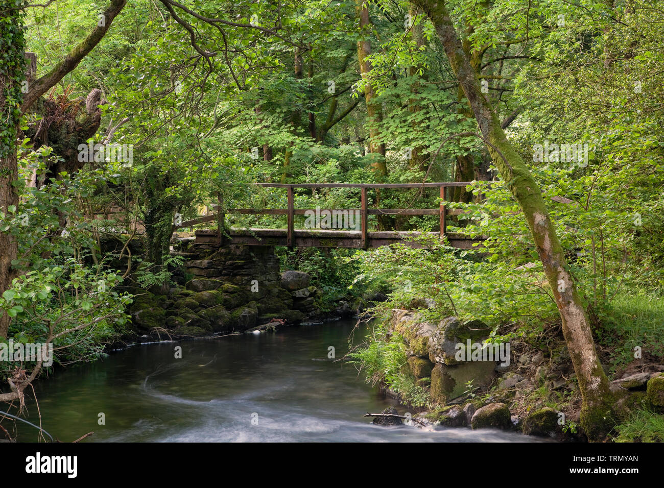 Wooden footbridge over Easedale Beck, Lake District, UK Stock Photo - Alamy
