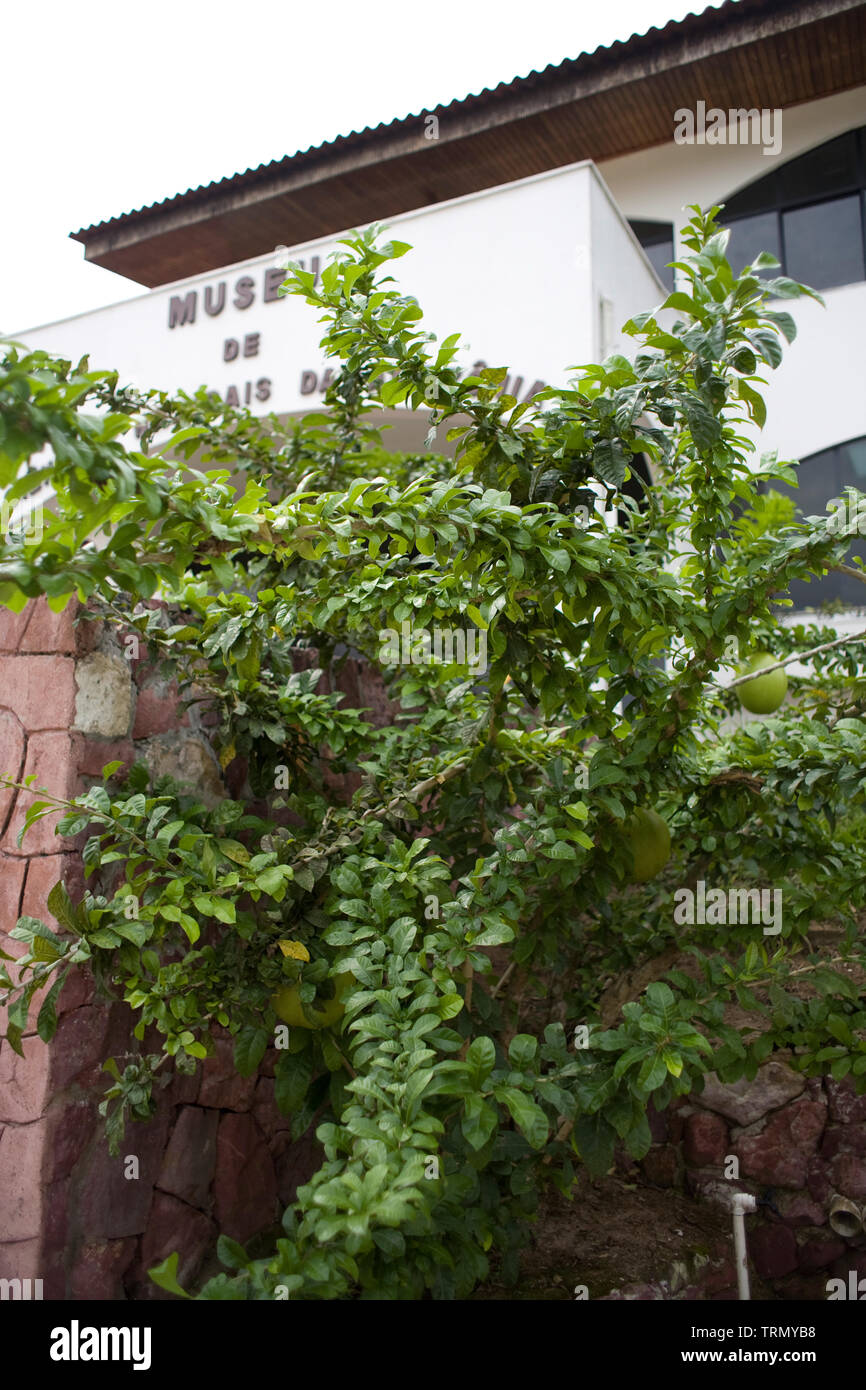 Manaus amazonas museum hi-res stock photography and images - Alamy