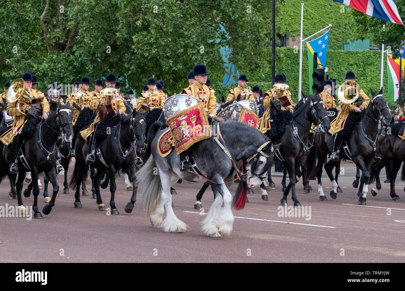 Military drum horse at the Trooping the Colour parade at Horse Guards ...