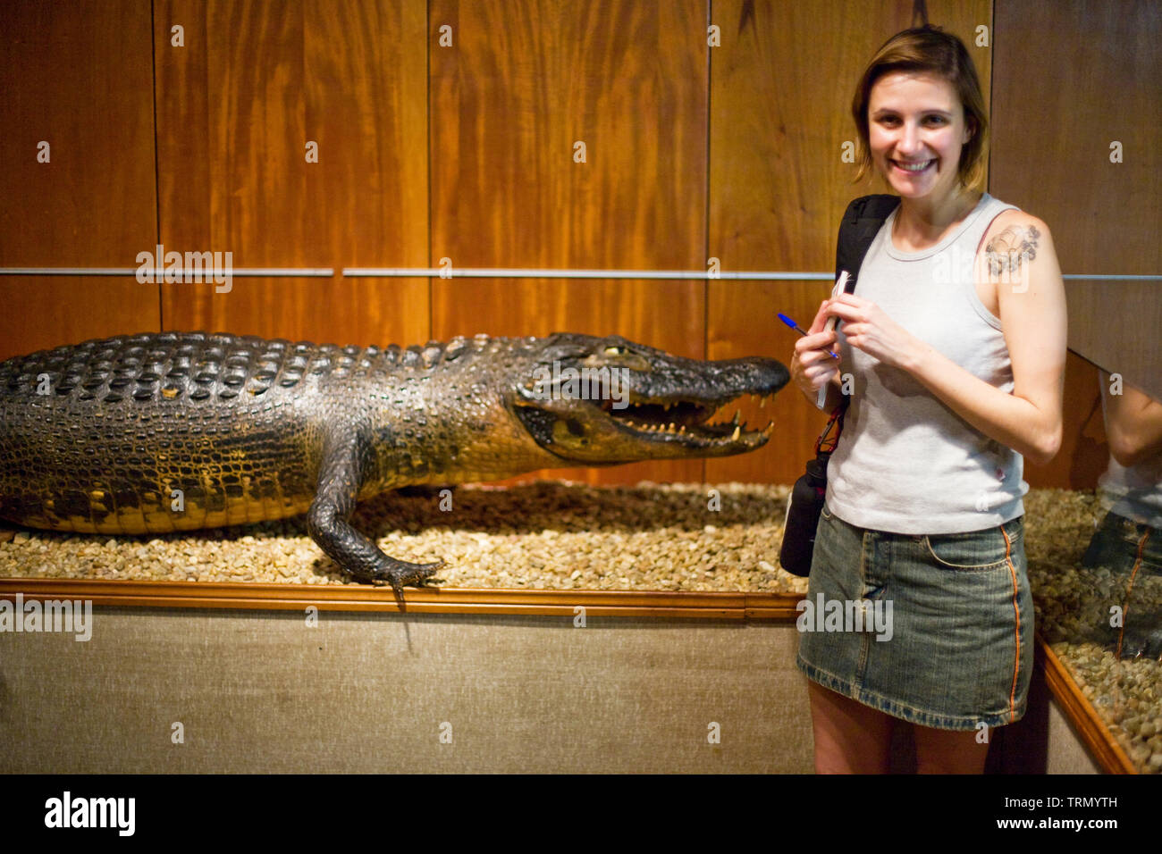 Alligator, Museum of Natural science, Amazônia, Manaus, Amazonas ...
