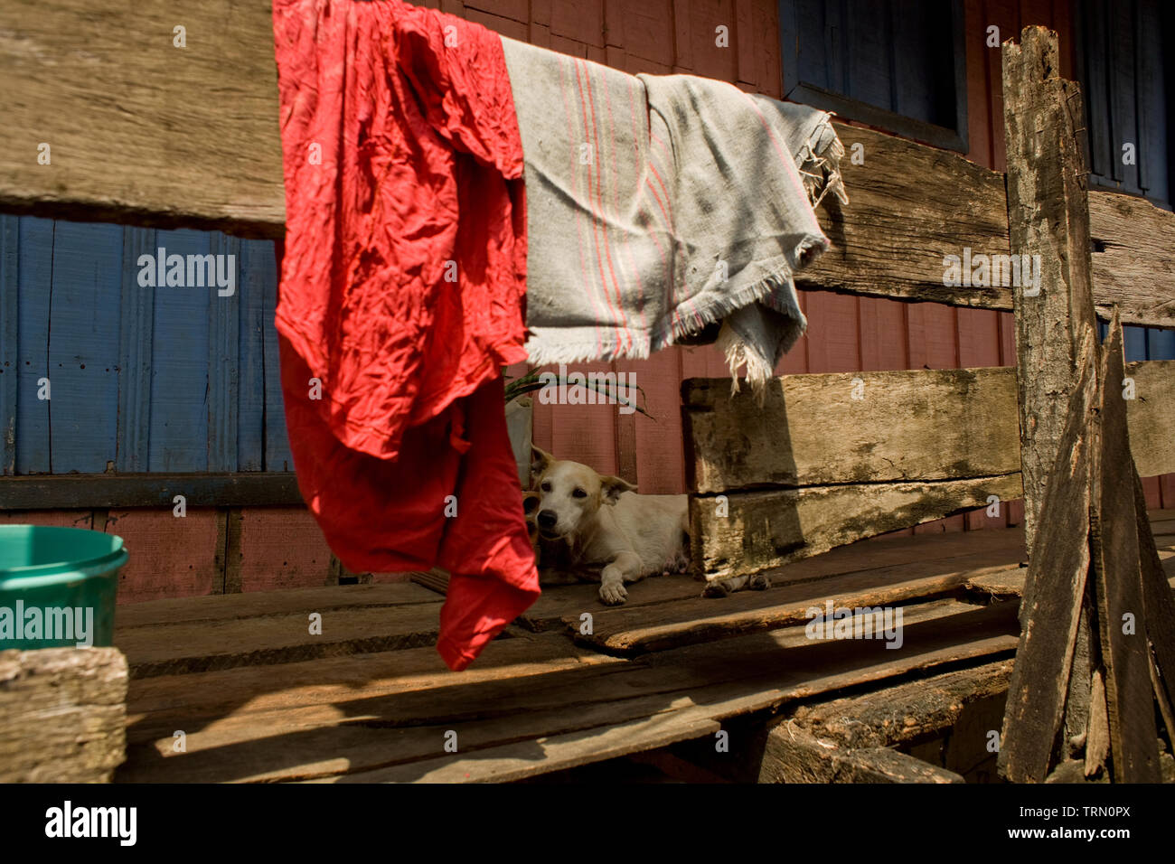Manaus brazil slum hi-res stock photography and images - Alamy