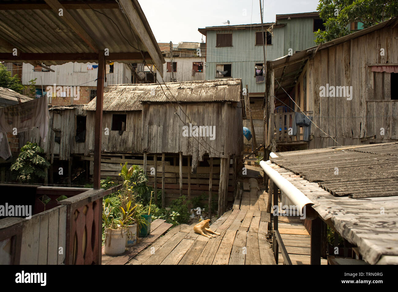 Manaus brazil slum hi-res stock photography and images - Alamy