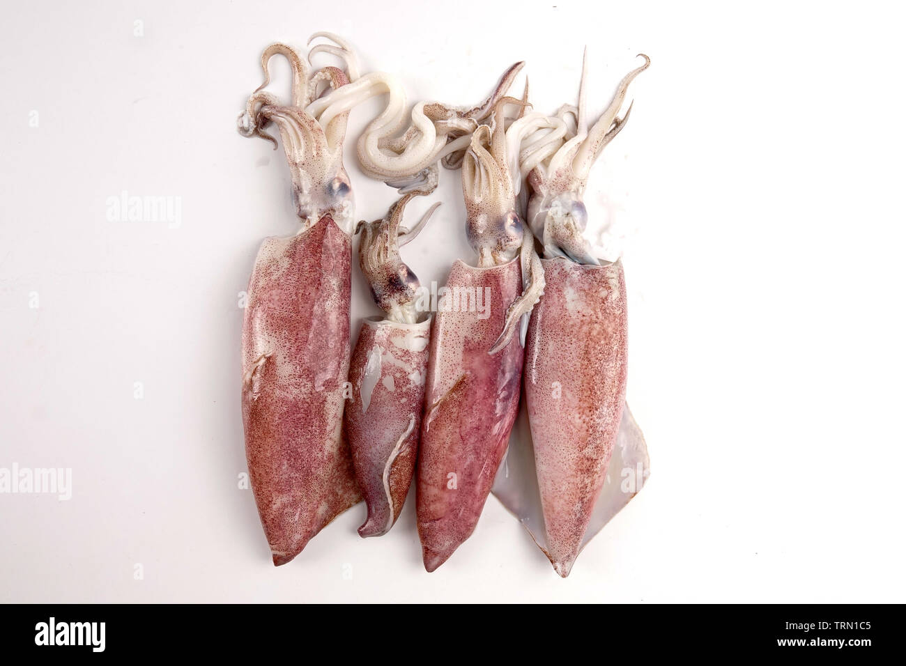 Petite maria hi-res stock photography and images - Alamy