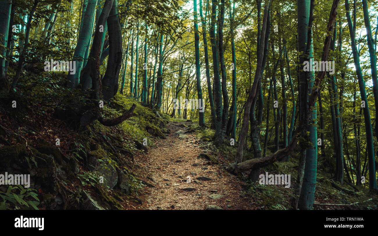 Vitosha hike hi-res stock photography and images - Alamy