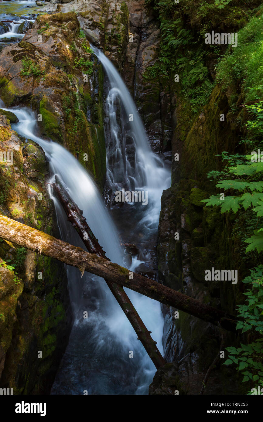 Sol Duc Falls in Olympic National Park, Washington Stock Photo - Alamy