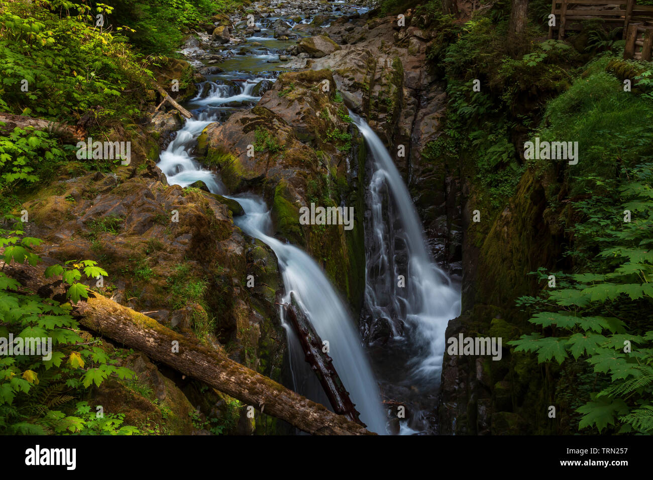 Sol Duc Falls in Olympic National Park, Washington Stock Photo - Alamy
