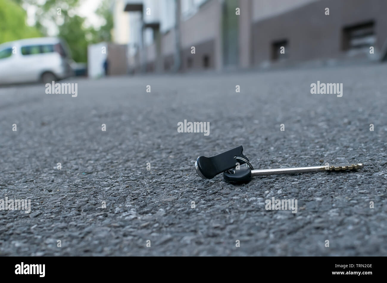 The lost bunch of keys, lies on the asphalted sidewalk of the road ...