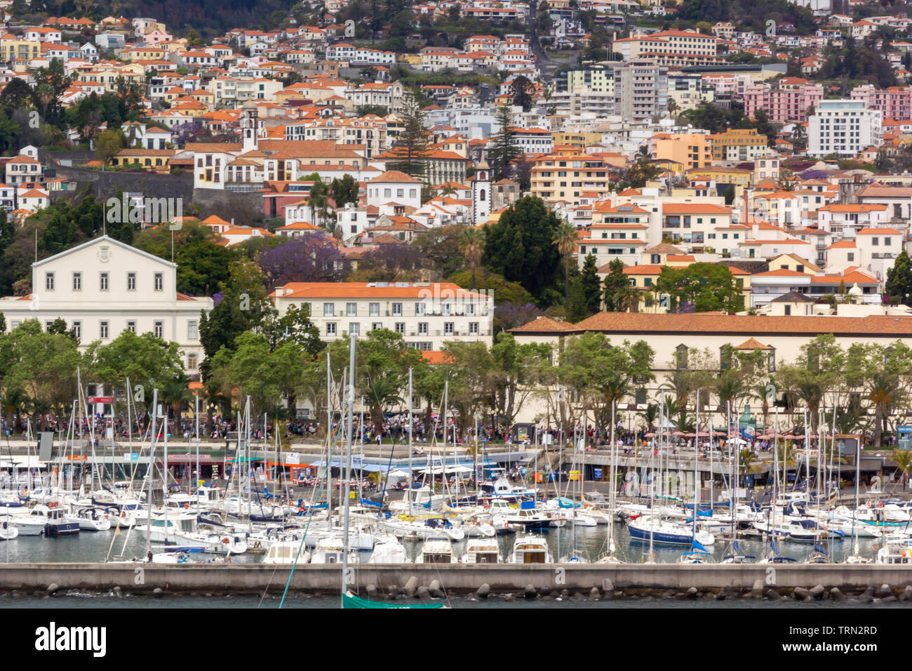 The marina at Funchal, Madeira Stock Photo - Alamy