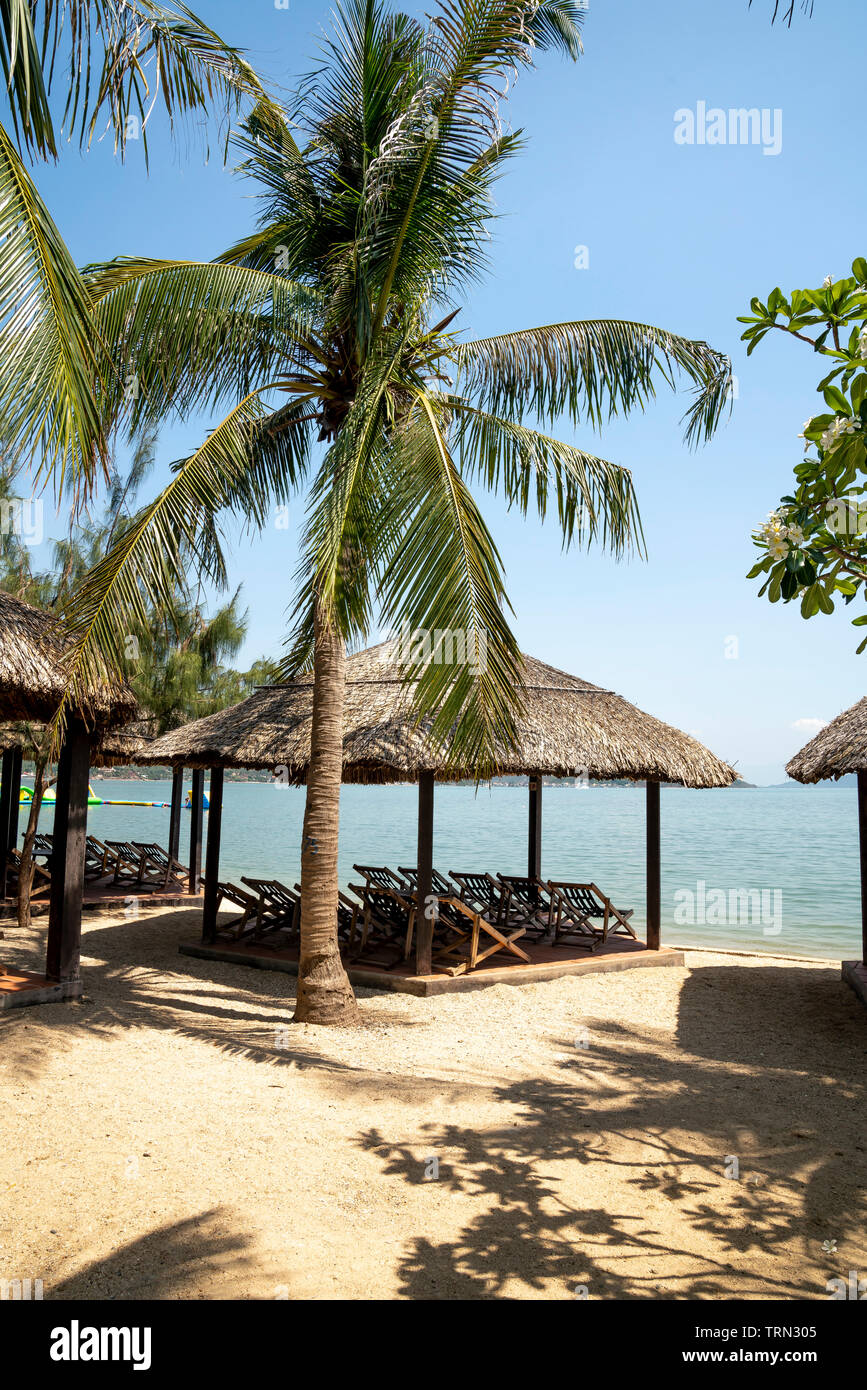 Monkey spa day hi-res stock photography and images - Alamy