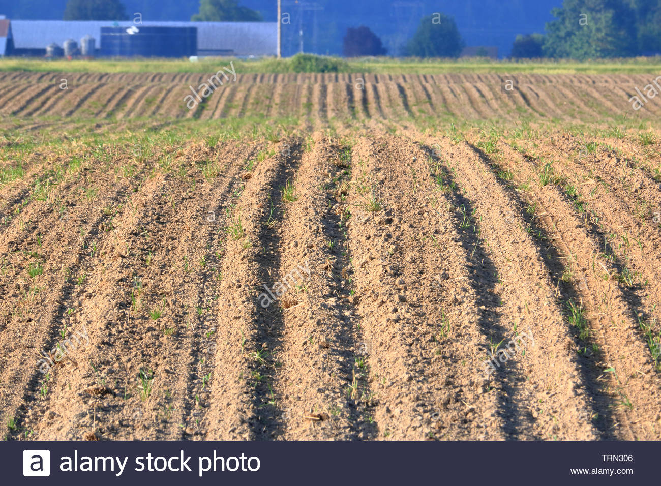 Tilled Land Stock Photos & Tilled Land Stock Images - Alamy