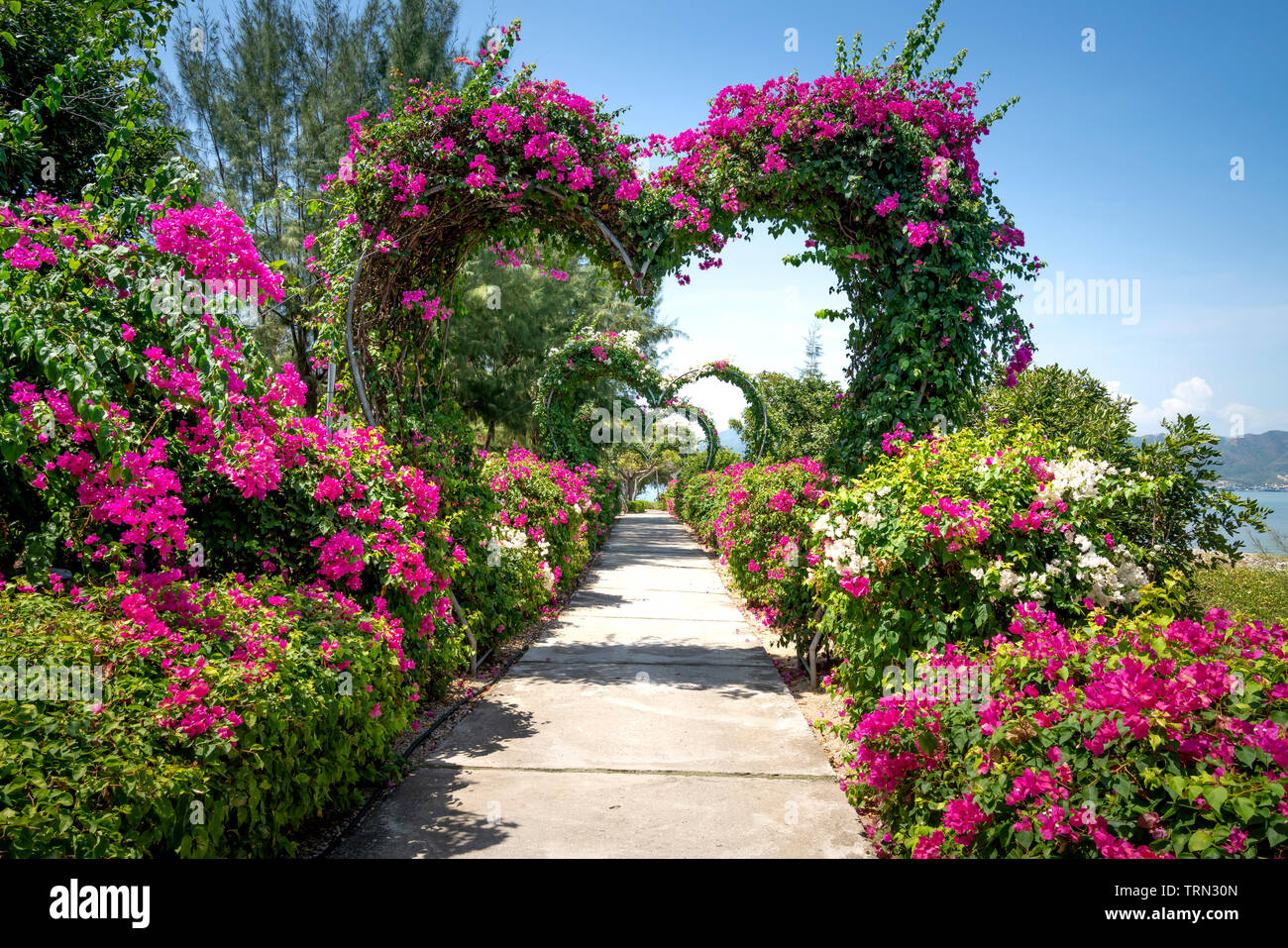 Monkey Island in Khanh Hoa Province, Vietnam - May 21, 2019: Beautiful ...
