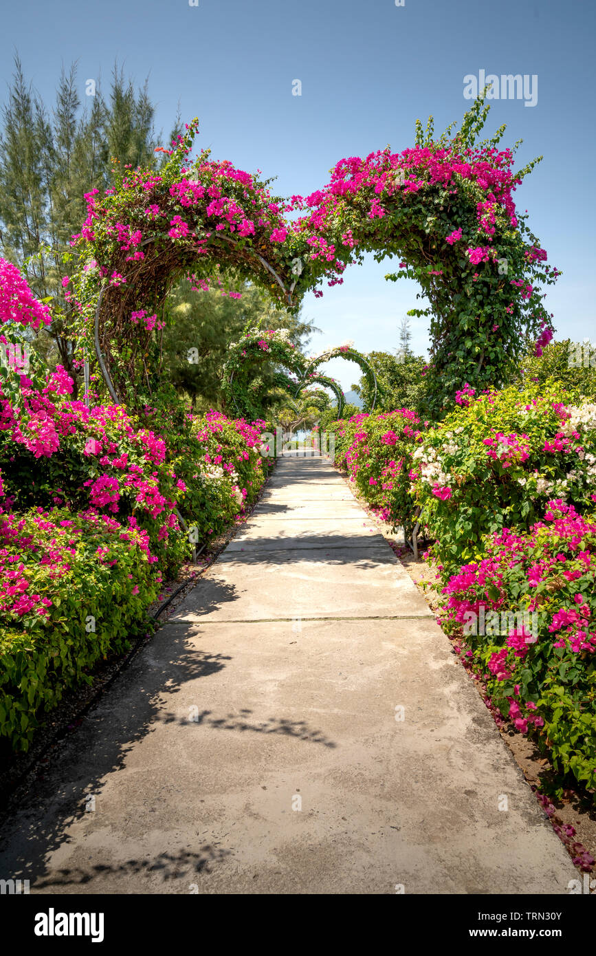 Monkey Island in Khanh Hoa Province, Vietnam - May 21, 2019: Beautiful ...