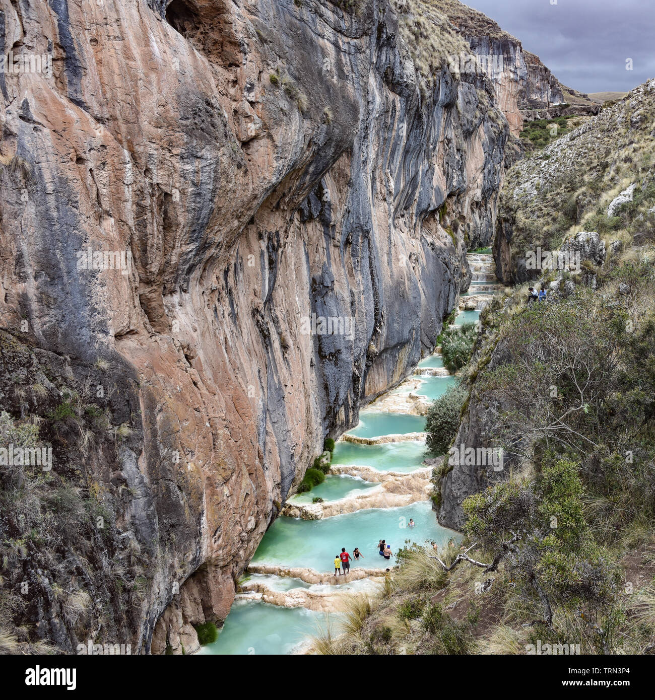 Natural series hi-res stock photography and images - Alamy