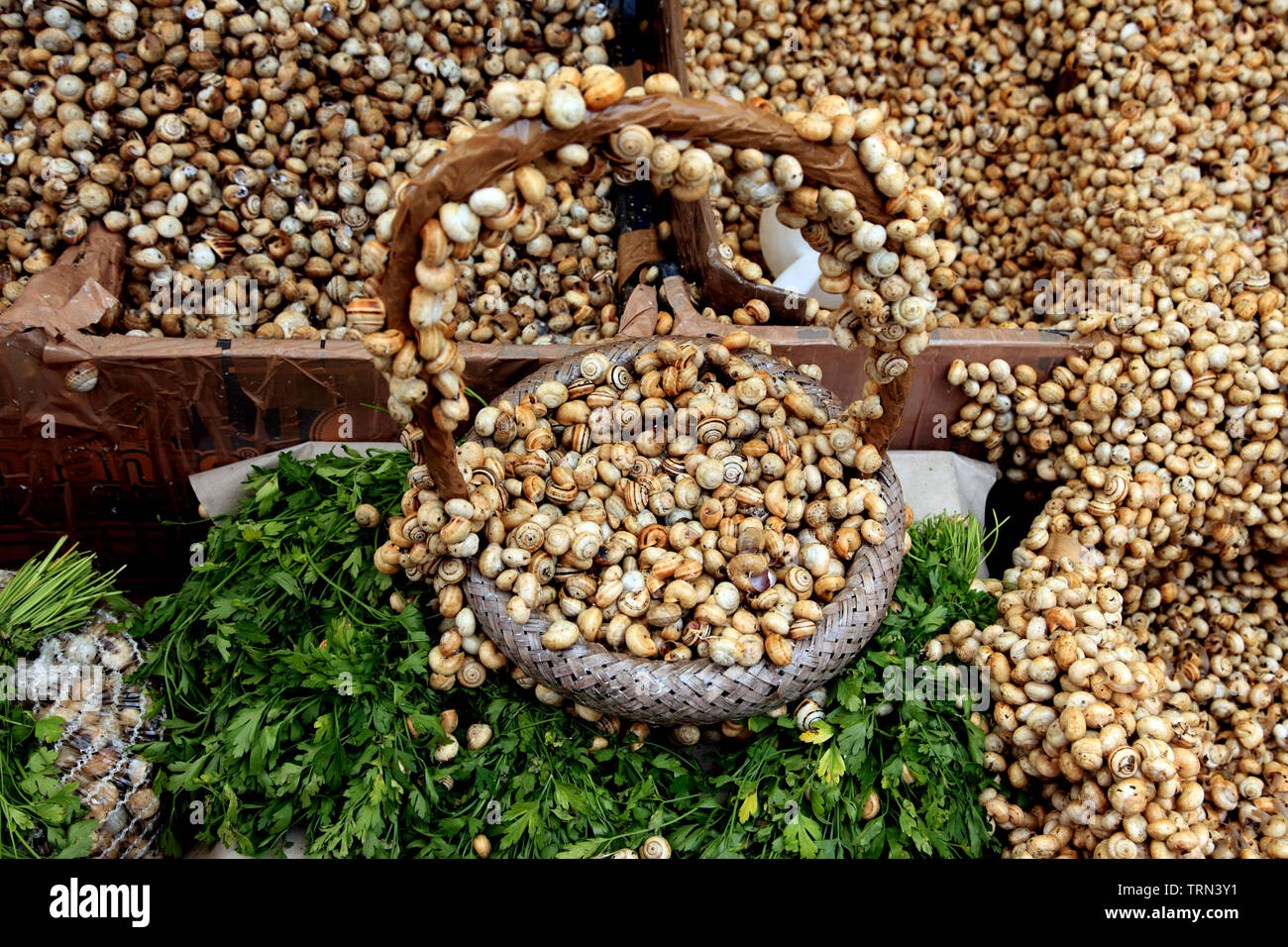 Edible snails hi-res stock photography and images - Alamy