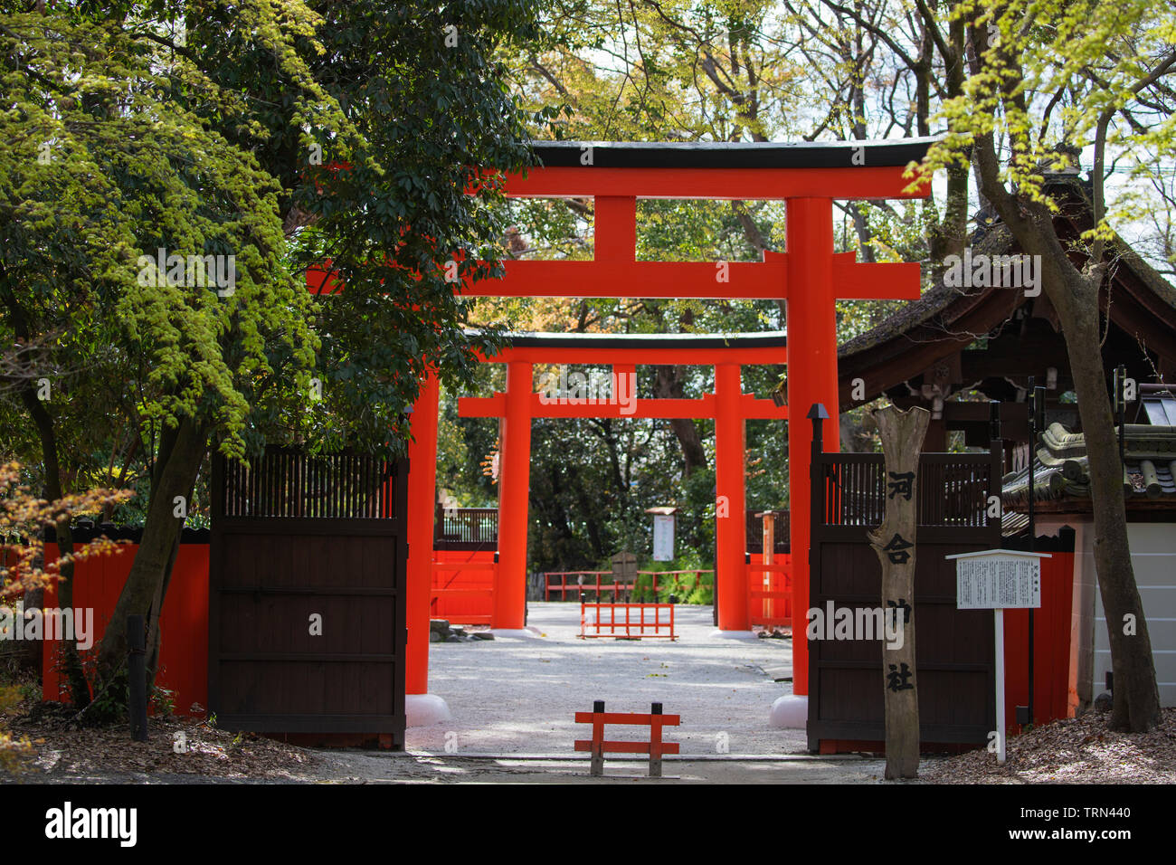 Asia, Japan, Kyoto, shinto shrine torii gate Stock Photo - Alamy