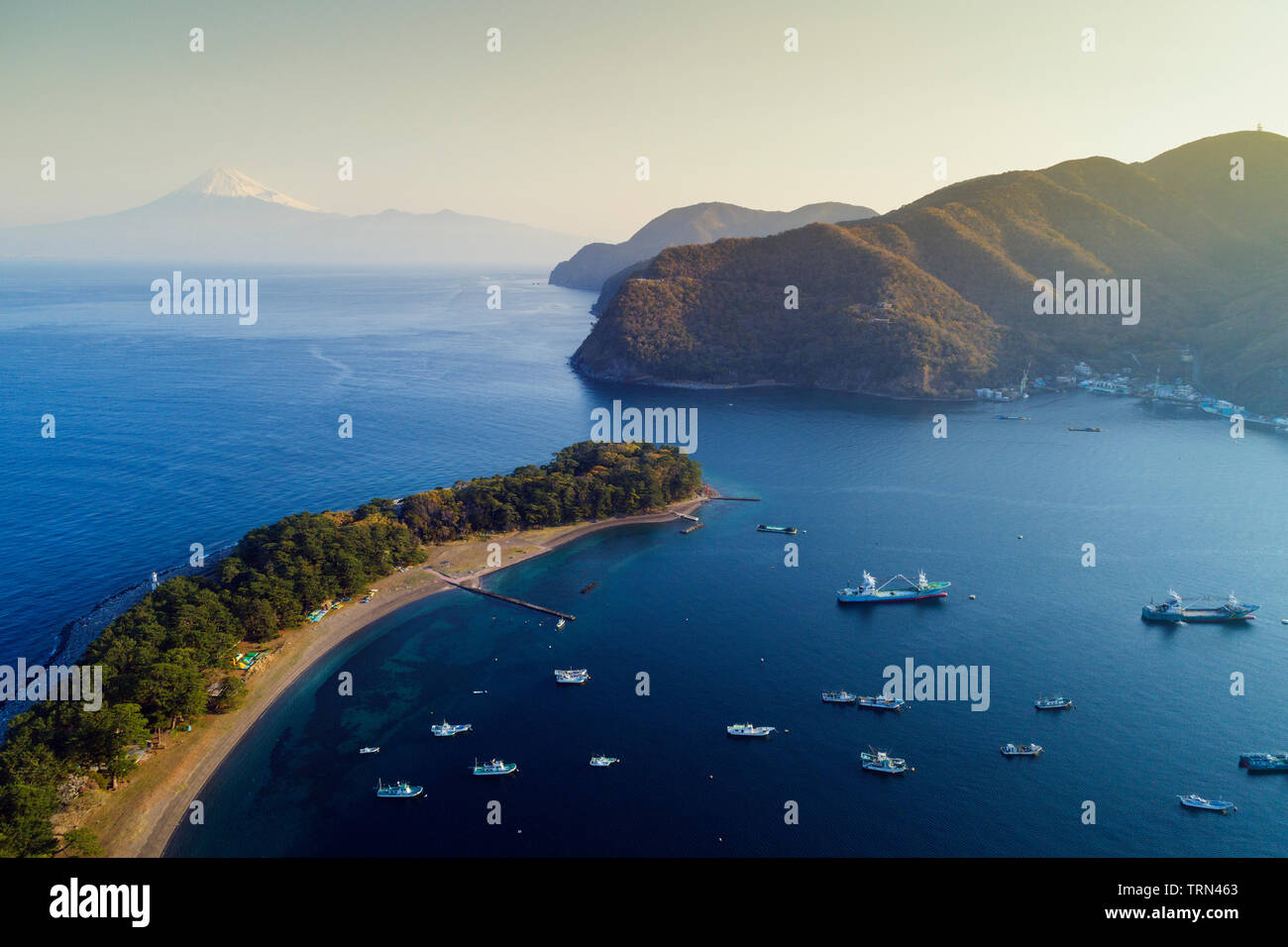 Asia, Japan, Honshu, Shizuoka prefecture, Izu Hanto, Heda, Mt Fuji ...