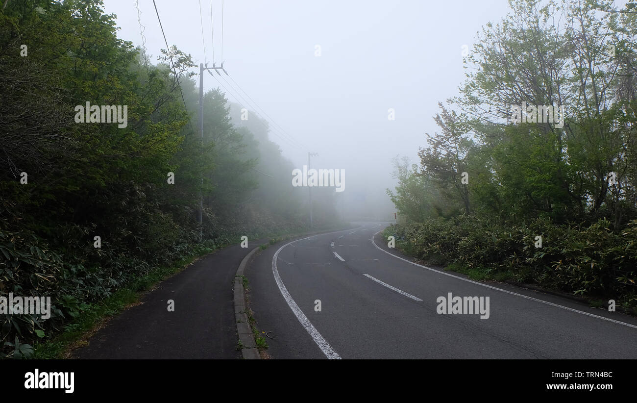Winding through the woods hi-res stock photography and images - Alamy