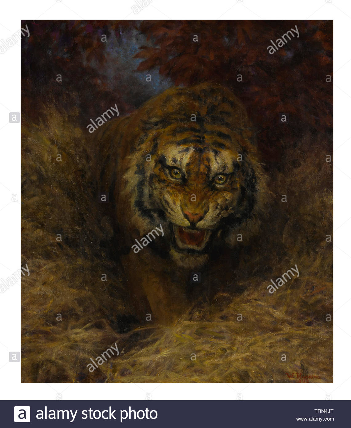 Nice Pictures Collection High Resolution Stock Photography and Images ...