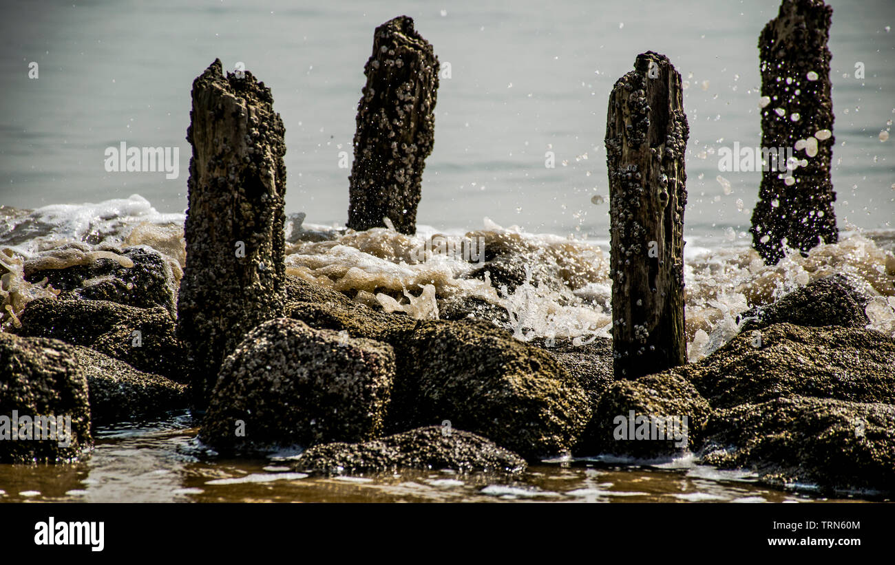 STAND WITH WATER AND INSECT ON BODY Stock Photo - Alamy