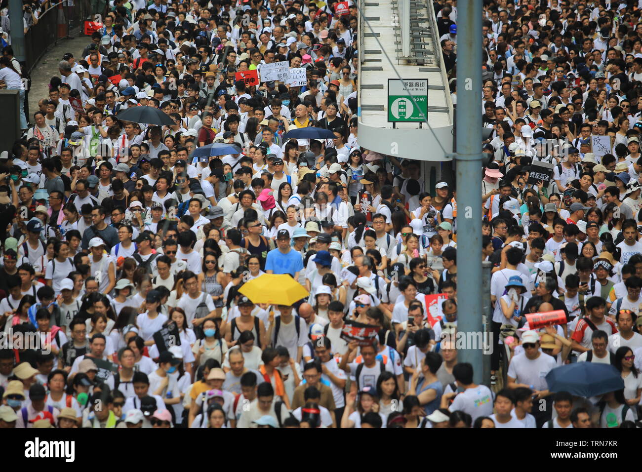 the crowd protest in the rally. More than 150,000 protesters took to ...