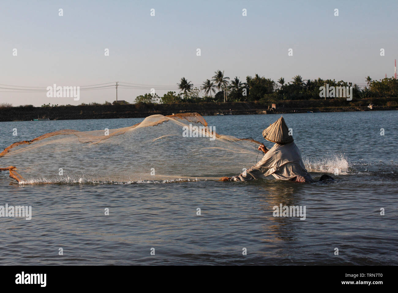 Fisherman casting his net in the ocean at sunset hi-res stock ...