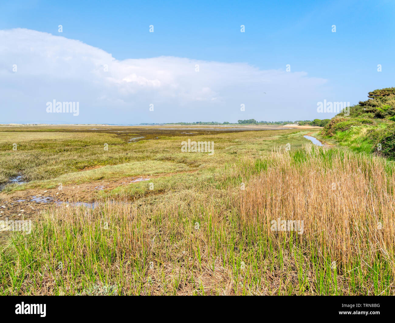 The view across West Wittering salt marshes on a bright spring day ...