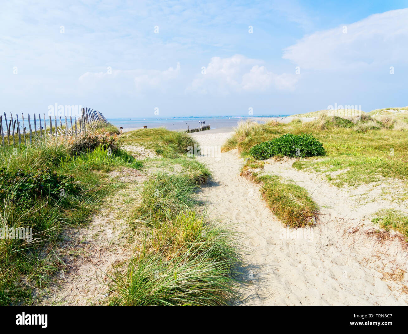 Footpath plants beach sunny day beach hi-res stock photography and ...