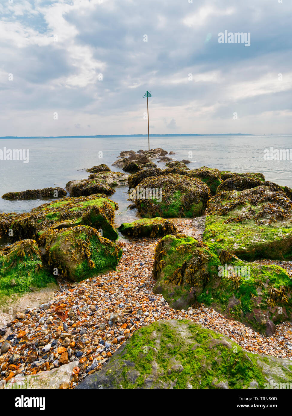 Line of wet, seaweed covered rocks leads out in to the Solent estuary ...