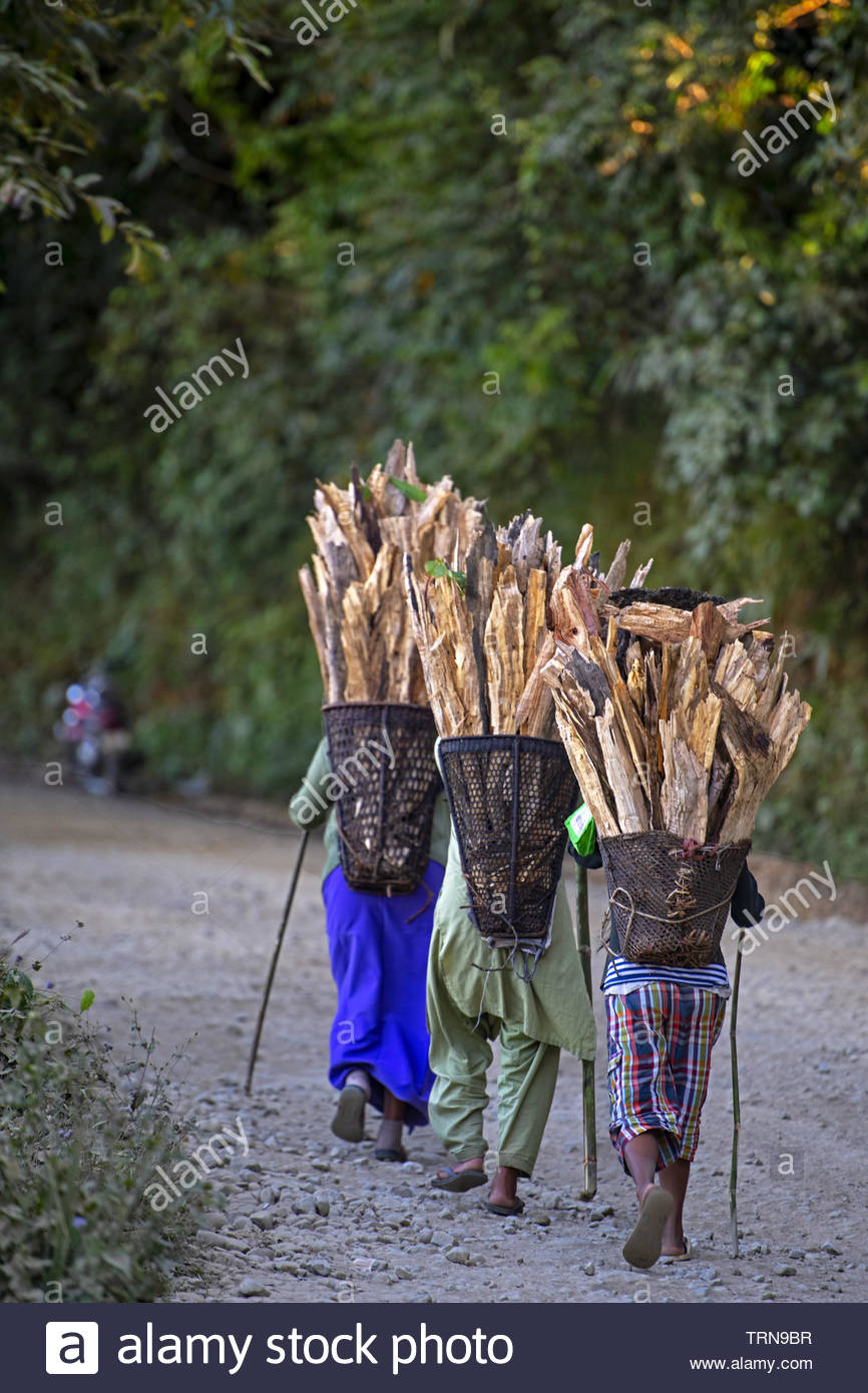 Nocte Tribe High Resolution Stock Photography and Images - Alamy
