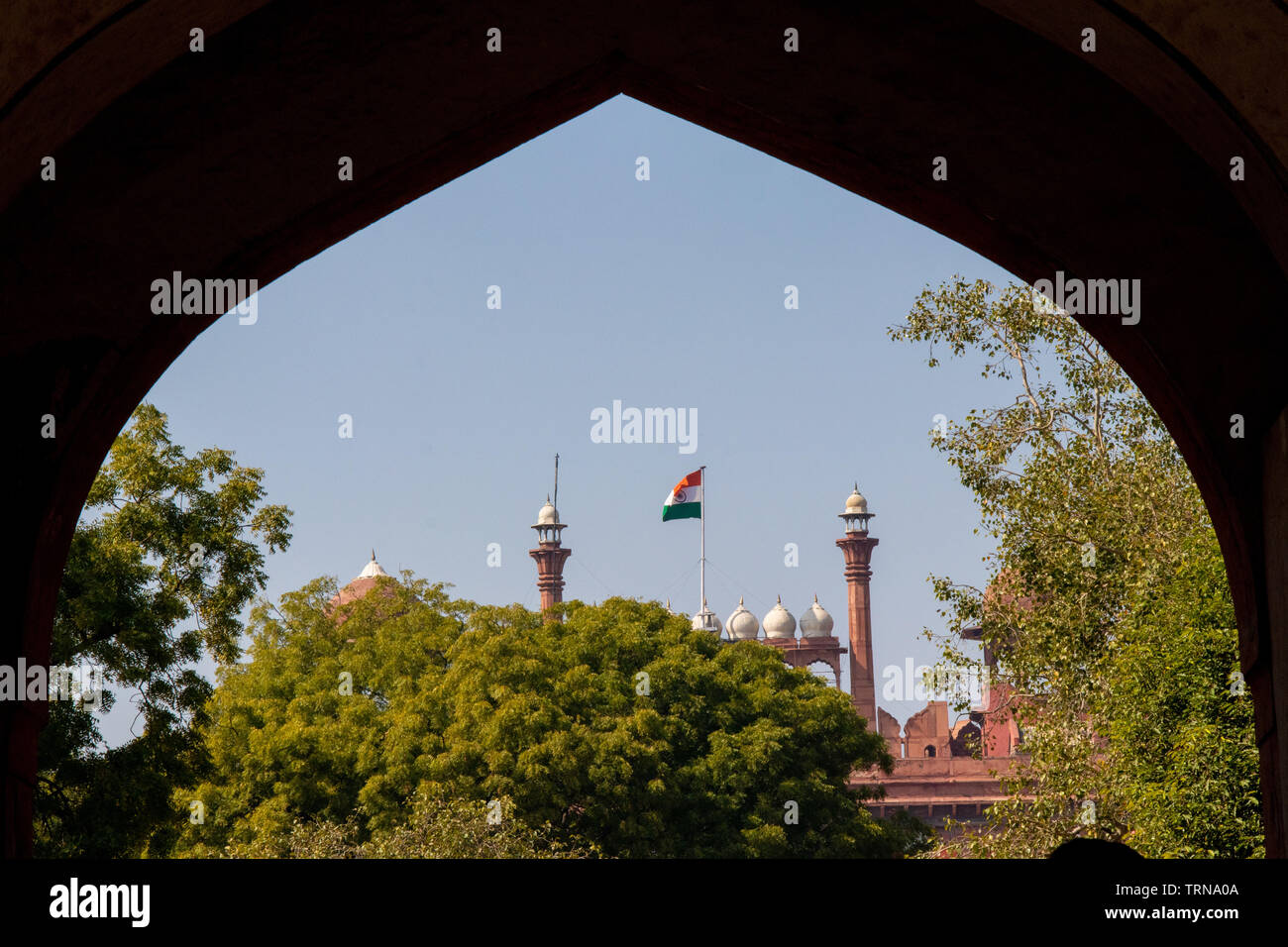 Vector india gate indian flag hi-res stock photography and images - Alamy