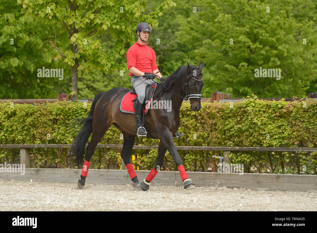 Back view man horseback hi-res stock photography and images - Alamy