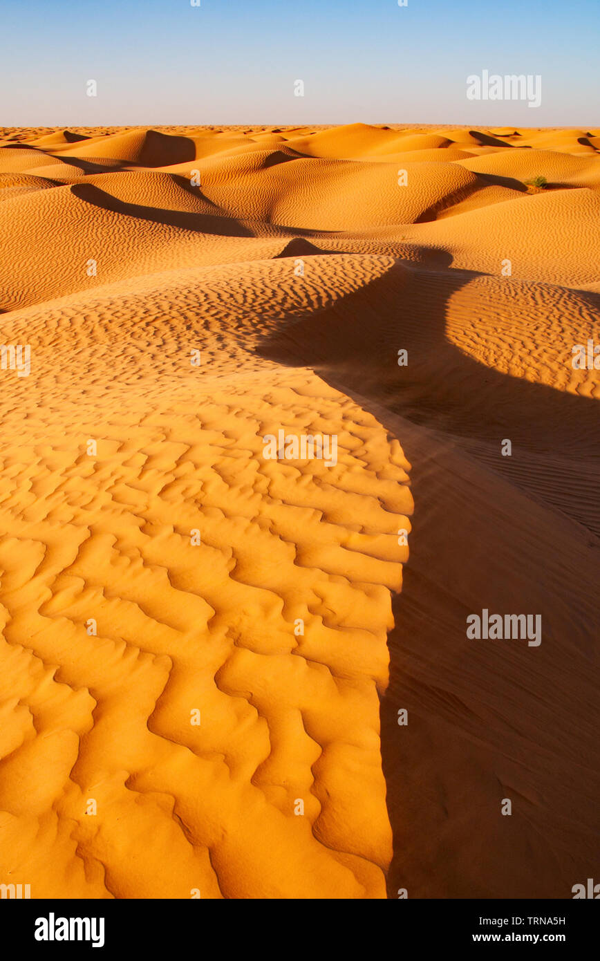 Sand dunes with a pattern of ripples in the evening under a bright sky ...