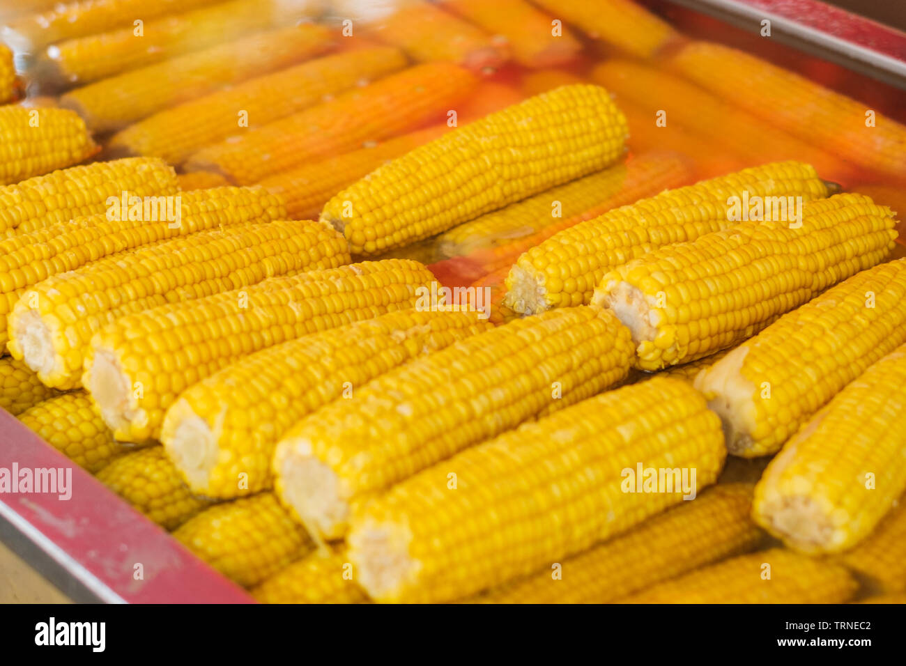 corncobs - cooked, yellow corn for sale Stock Photo - Alamy