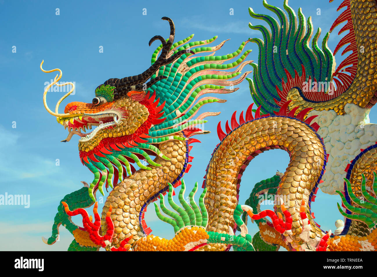 Paradise Dragon Dragon City