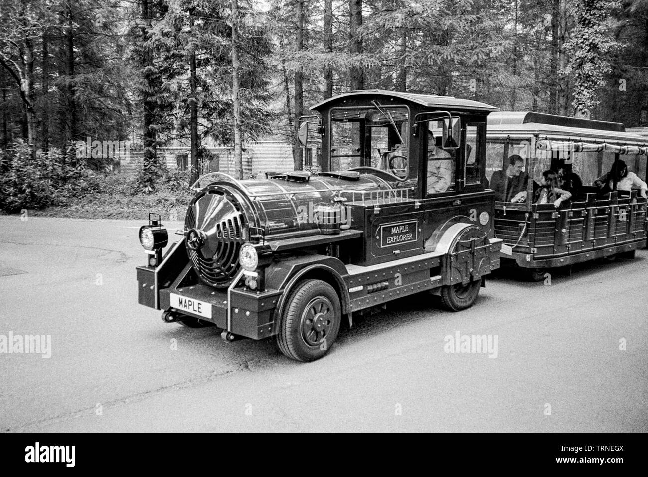 Land Train at Center Parcs, Longleat, Wiltshire, England, United ...